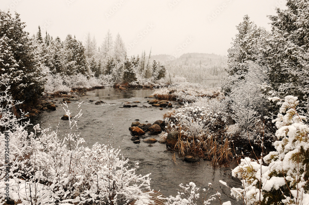 Winter scenery stock photos. Winter scenery in the forest showing ...