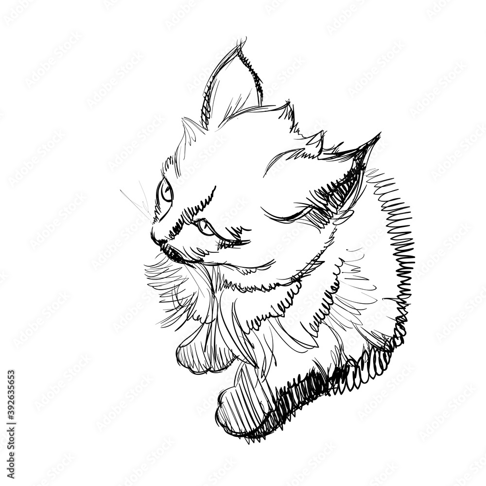 Vector Illustration of Adorable Cat. Sketched Little Cute Kitten ...