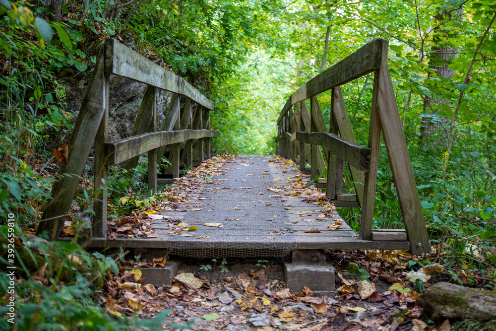 Foot Path Bridge Over a Dry Creek bed Stock Photo | Adobe Stock