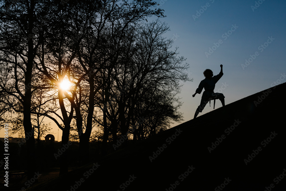 Silhouette of a karate woman in a defensive posture, wearing a kimono ...