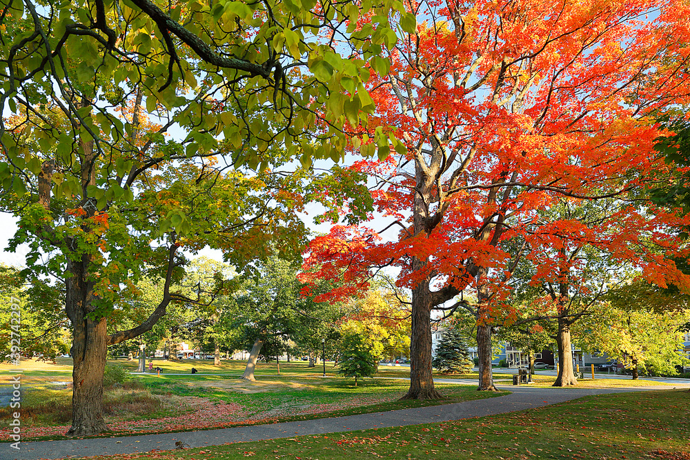 Fall foliage at Elm Park in Worcester, Massachusetts. Elm Park is an ...