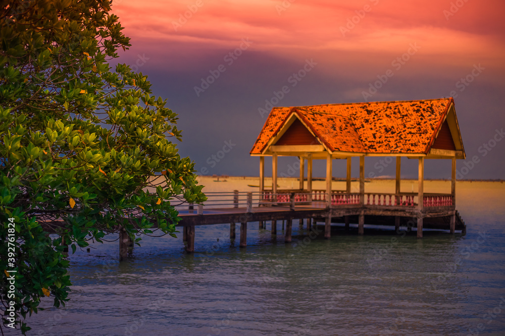 Blurred nature background view of naturally occurring trees and ...
