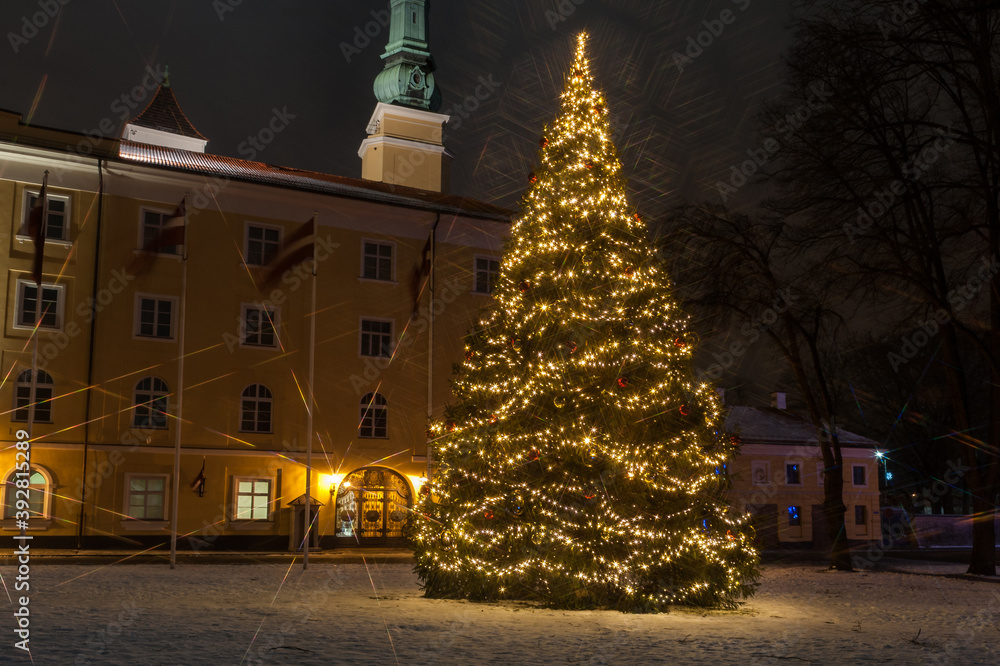 Christmas tree of Riga with star filter effect. Christmas tree in front ...