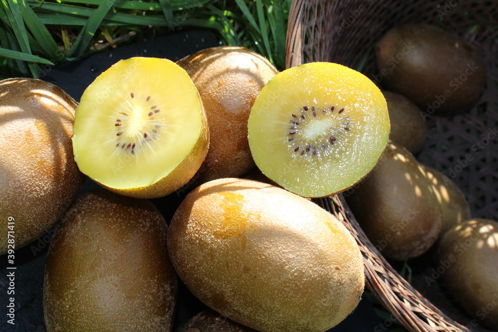 Kiwi jaune, kiwi coupé en deux dans la nature Stock Photo | Adobe Stock
