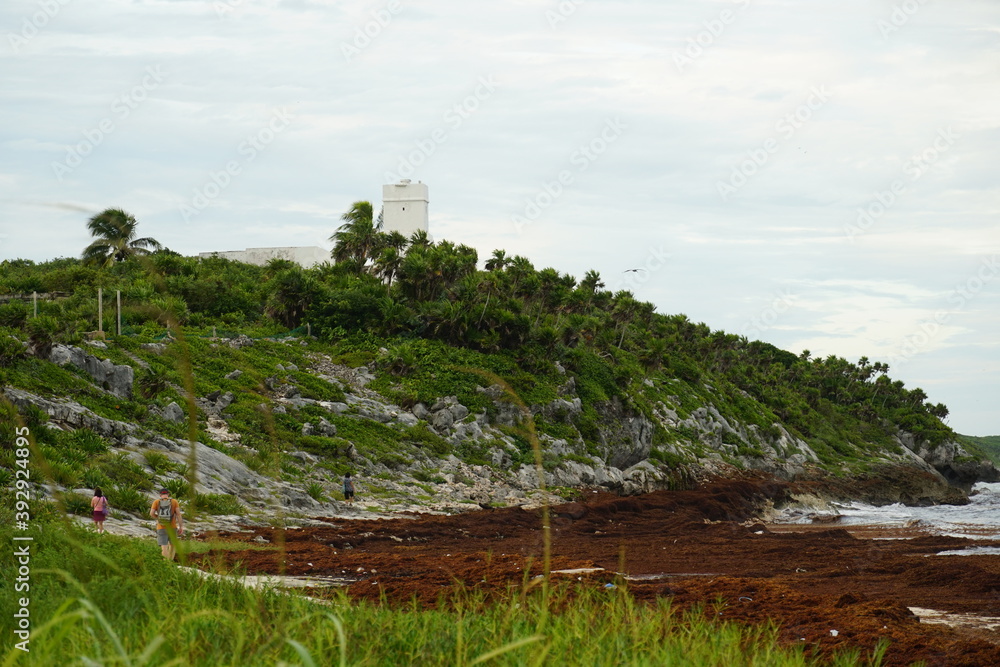 cenote, coba, yucatan, pyramid, canote, water, mexico, archeology ...