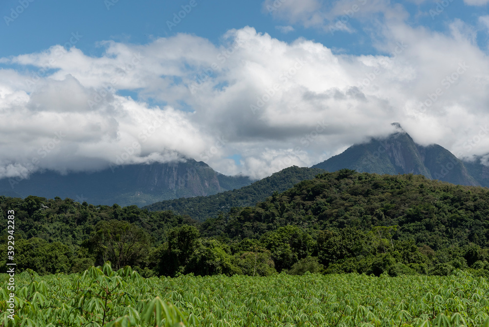 Beautiful green view to manioc plantation and rainforest mountains ...