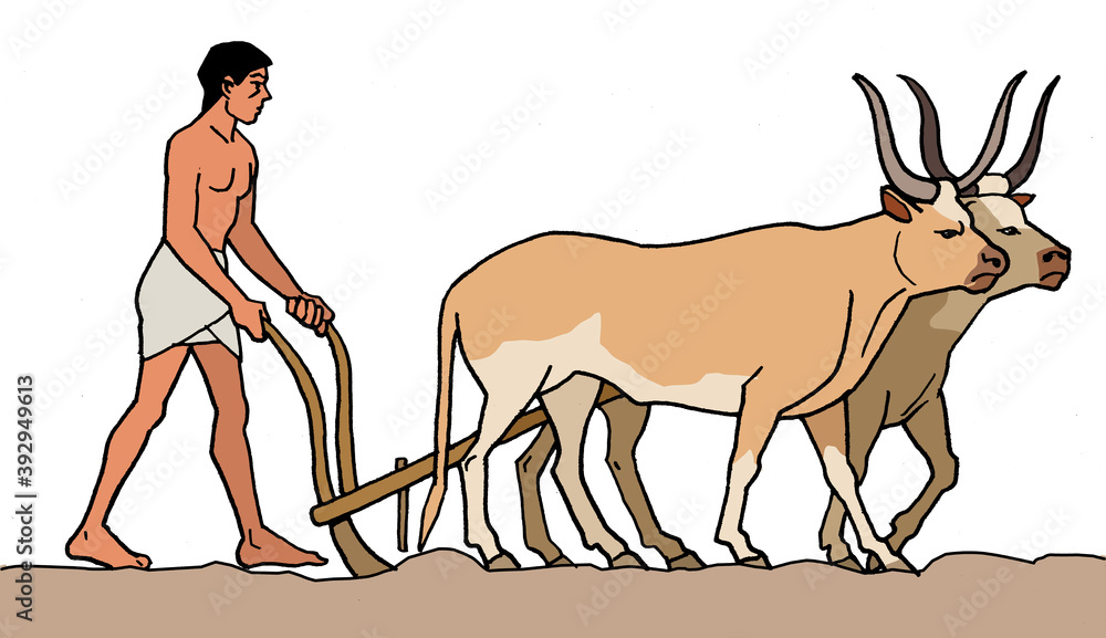 Ancient Egypt - Egyptian farmer. Plowing the fields with oxen Stock ...
