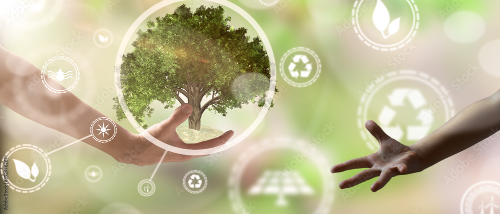 Man's hand delivering a miniature tree into a girl's hands with ...