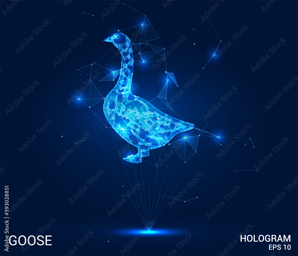 The goose hologram. A goose made up of polygons, triangles, points, and ...