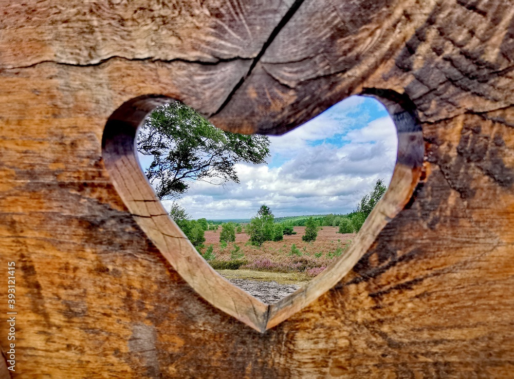 Landschaft, Himmel, blau, grün, Naturpark, Lüneburger Heide, Herz, Baum ...