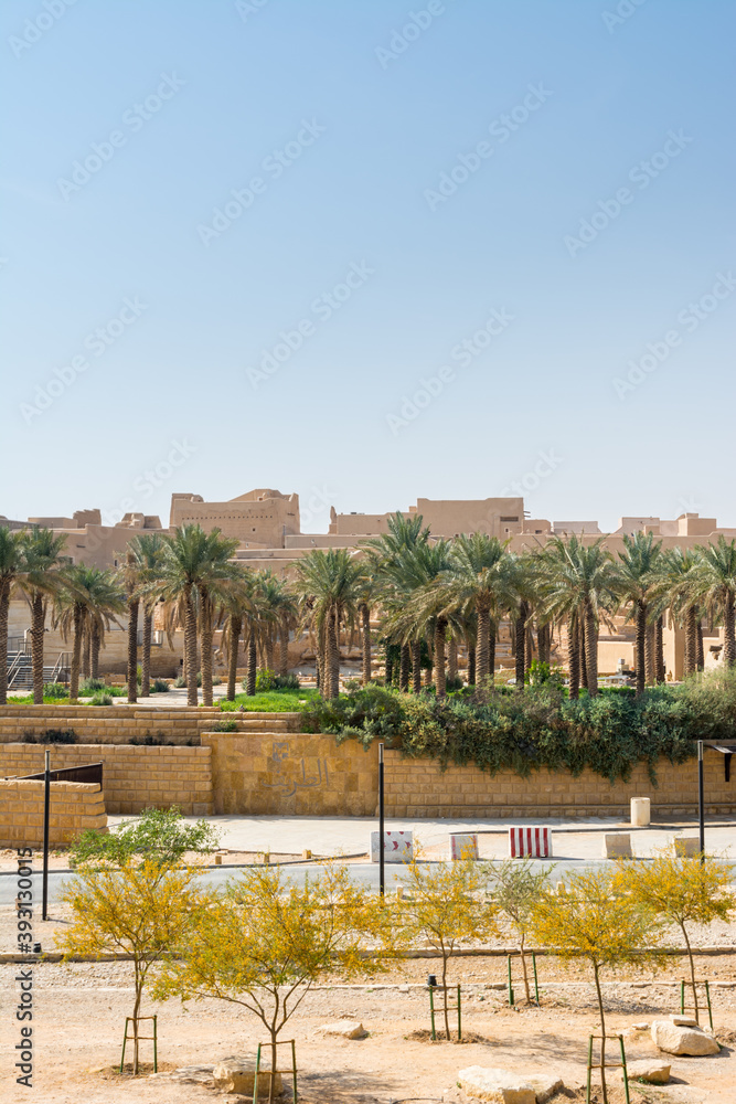 Palm trees and Ruins of Diraiyah, also as Dereyeh and Dariyya, a town ...