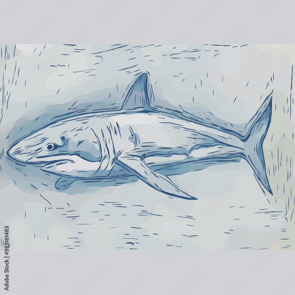 Shark vector illustration. hand drawn sketch of shark swimming ...