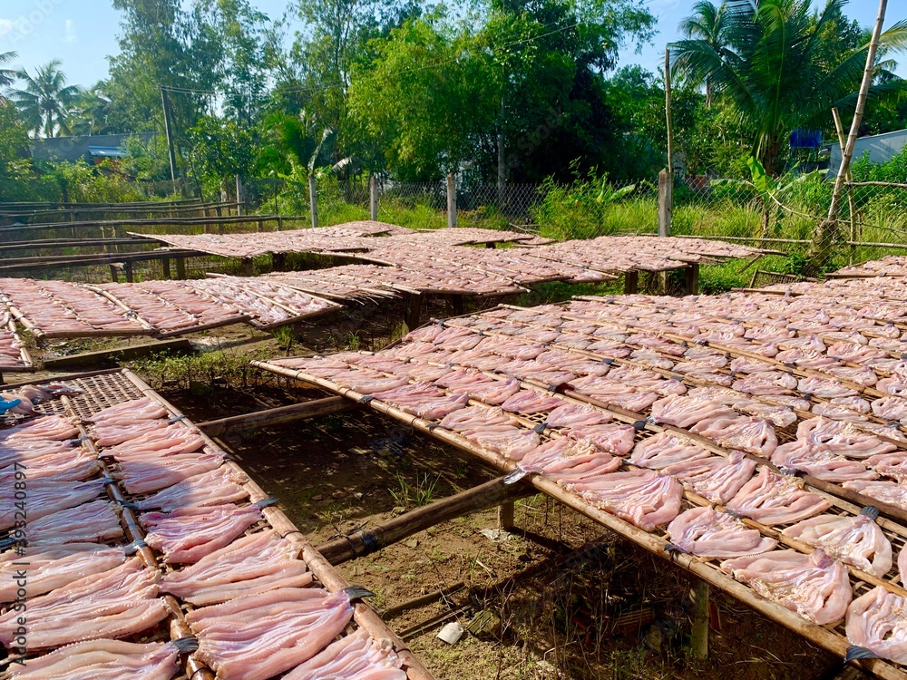 Homemade Vietnam Fish preservation by using Sun drying technique on the ...