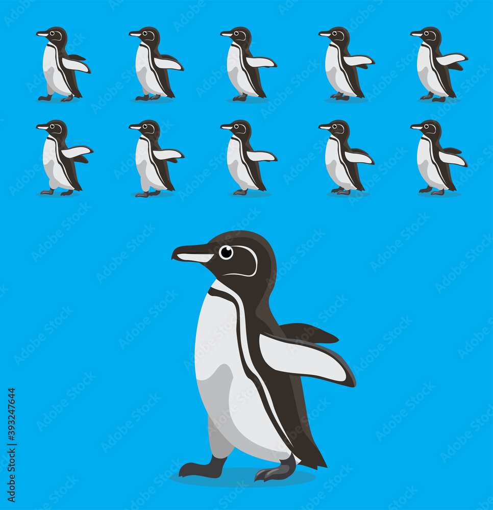 Animal Animation Sequence Galapagos Penguin Cartoon Vector Stock Vector ...