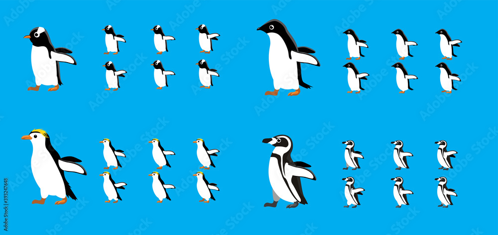 Animal Animation Sequence Chinstrap Adelie Royal Penguin Cartoon Vector ...