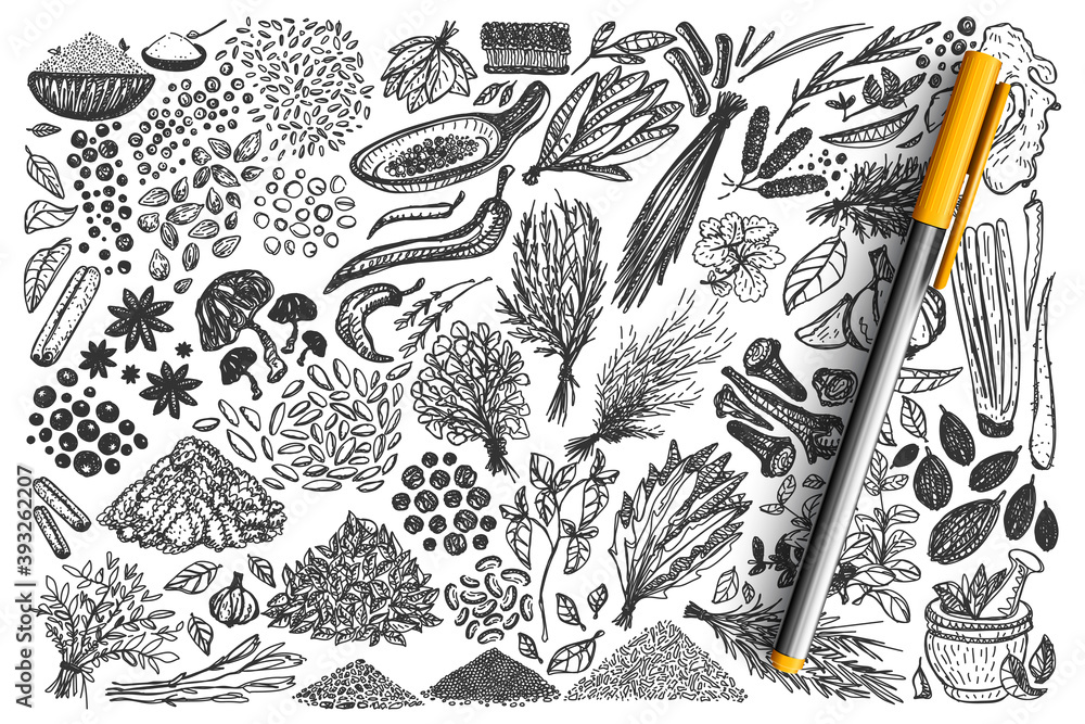 Spices doodle set. Collection of hand drawn different condiments herbs ...