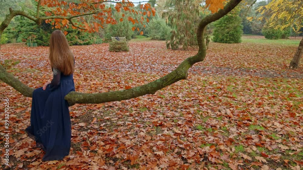 Video Stock A beautiful young girl sitting on the branch of a tree in ...