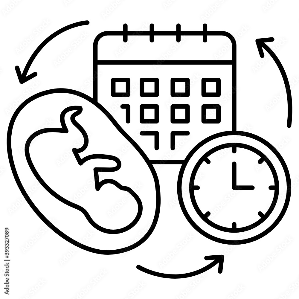 Baby Making Life Cycle Concept, foetus Week and time clock Vector Icon ...