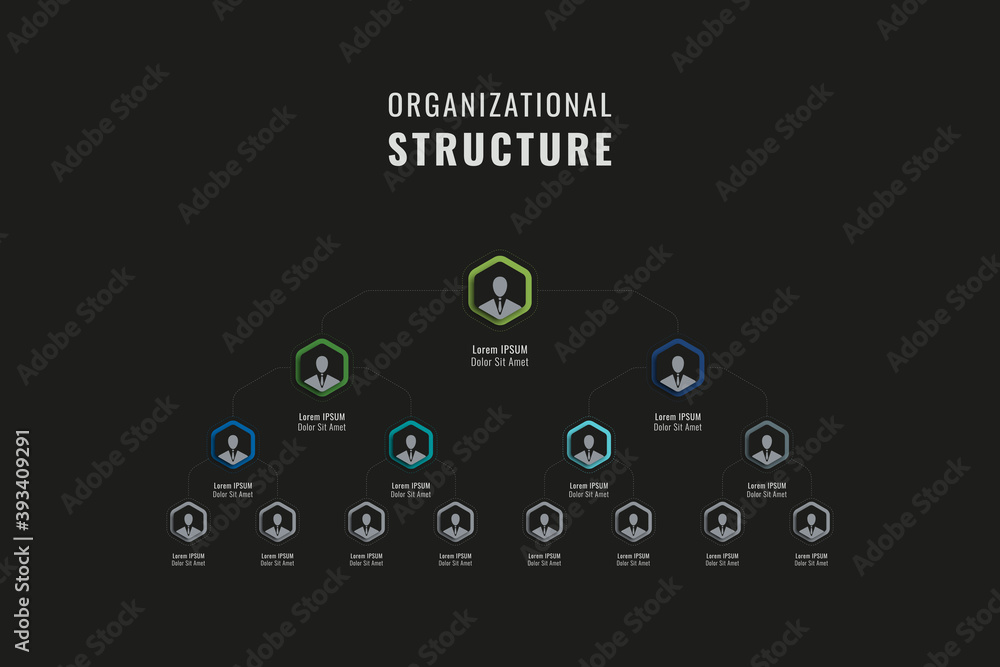 Vetor de Vertical organizational structure of the company template ...
