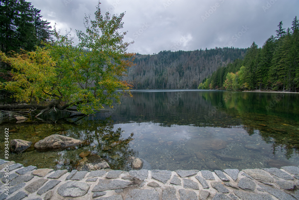 Black lake (Cerne jezero) in Bohemian forest, Sumava national park ...