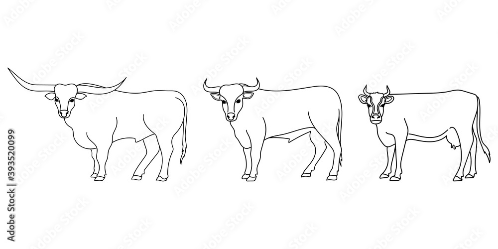 Cow and bull outline silhouette set. Cattle and beef symbol. Side view ...