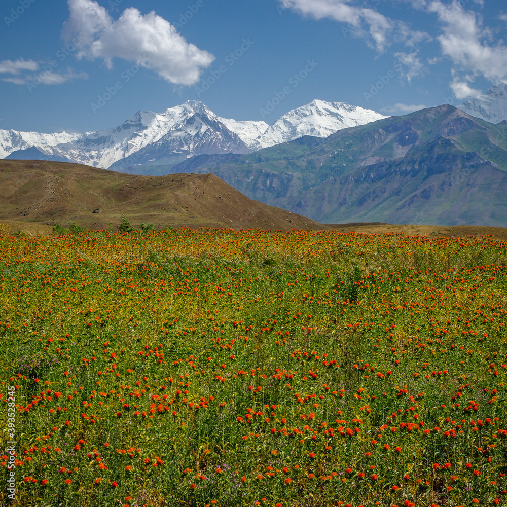 View of snow-capped Ismail Somoni Peak formerly Stalin Peak and ...