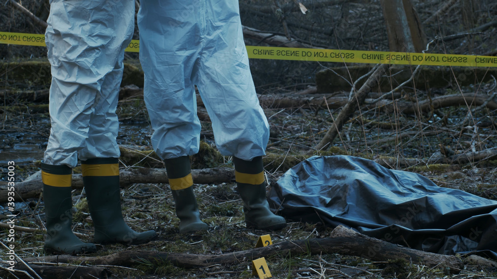 Detectives are collecting evidence in a crime scene. Forensic ...
