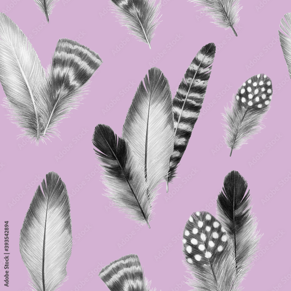 feathers sketch graphics interesting beautiful feather pencil drawing ...