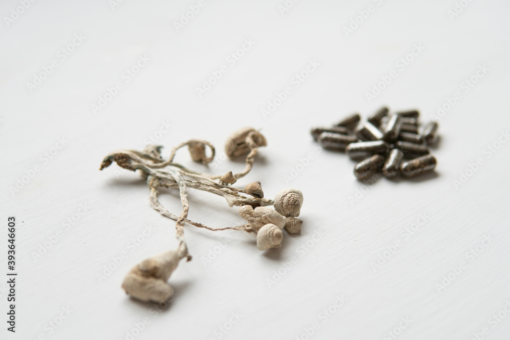 micro-dosing Dry Psilocybe cubensis. physical energy Medicines ...