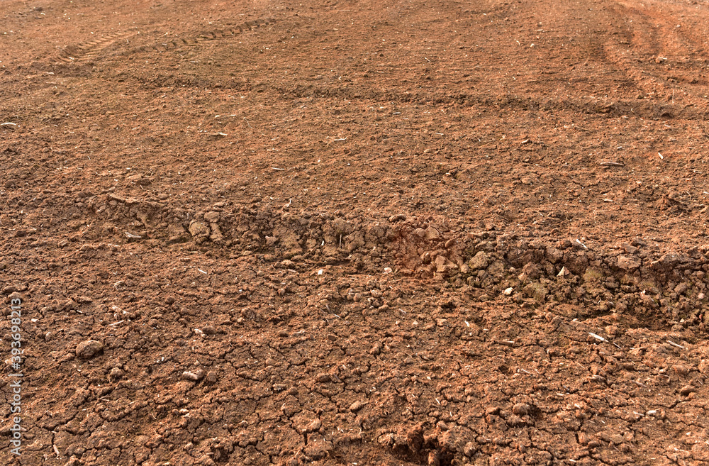 Peat Moss background. Peat moss industry harvests and ships millions of ...
