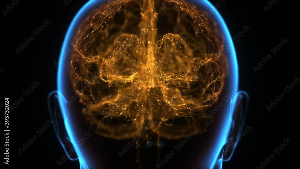 X-ray of the head and human brain in concept of neural connections and ...
