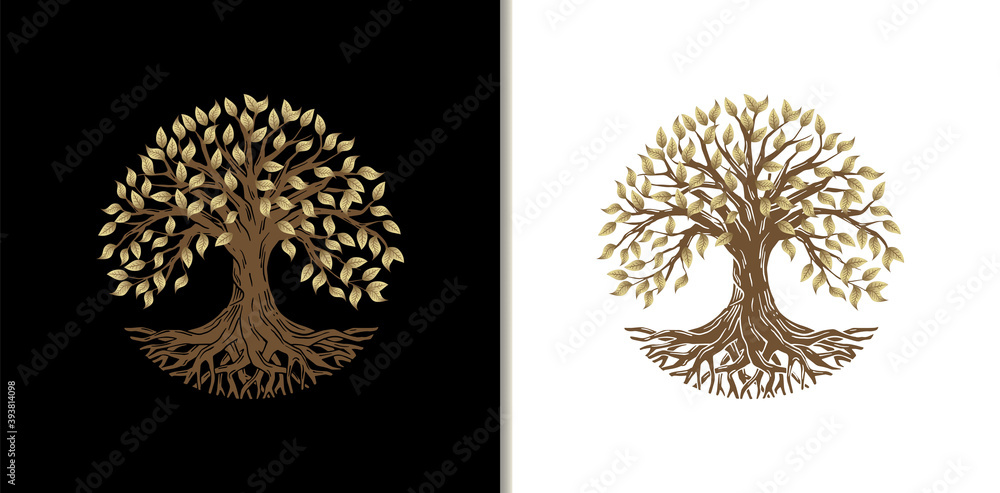 Tree of Life or Luxury Gold Tree and roots vector with round shape ...