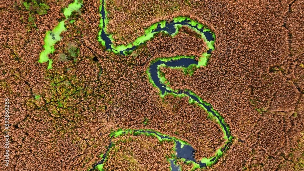 Top down view of river, algae and brown swamps Stock Video | Adobe Stock