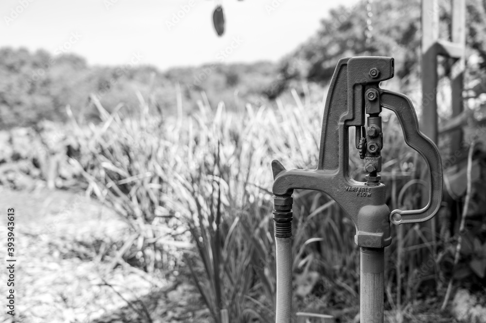 Old style mechanical self draining hydrant in blurred rural garden ...