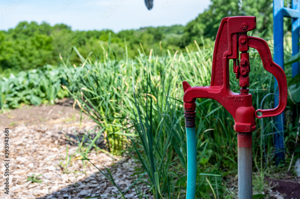 Old style mechanical self draining hydrant in blurred rural garden ...