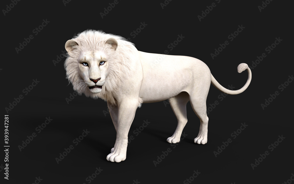 3D illustration of white lion acts and poses isolated on dark black ...