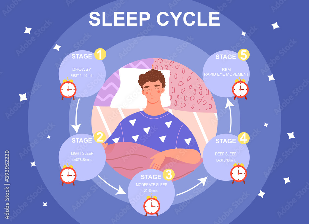 Vetor de Sleep cycle infographics. Stage of sleep during the night ...