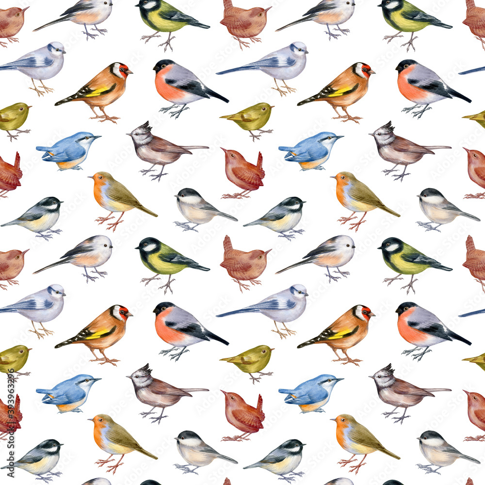 Festive endless texture. Watercolor of forest birds isolated on white ...