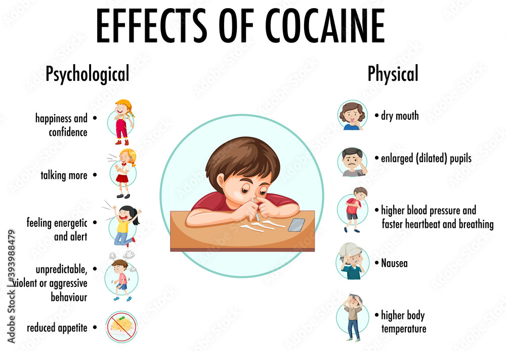 Effects of cocaine information infographic Stock Vector | Adobe Stock