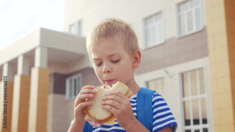 schoolboy eating a sandwich during recess in school. kids education ...
