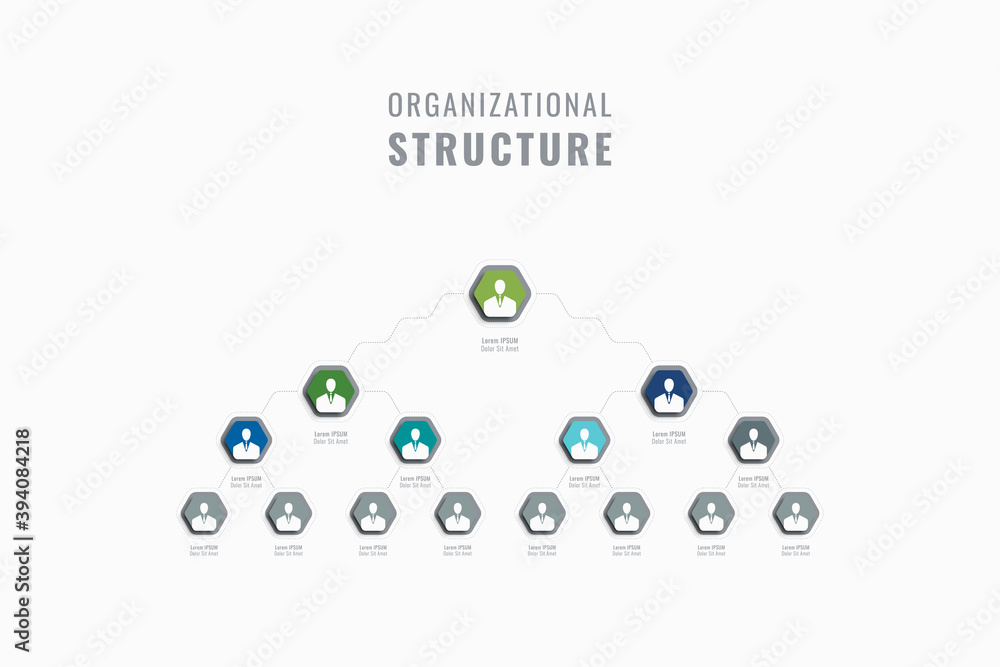 Vertical Business Hierarchy Of The Company Template Multicolor vertical-business-hierarchy-of-the-company-template-multicolor