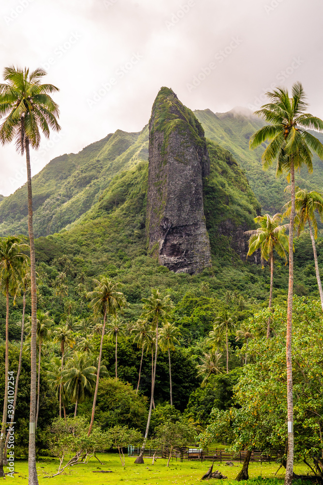 big rock mountain in tiki form with palm tree in raiatea french ...