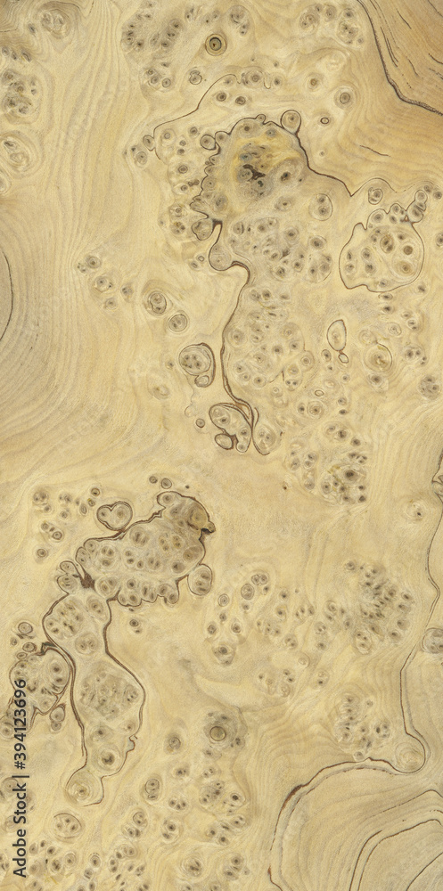 Macro photo of wood cross section Wood grain texture background Stock ...