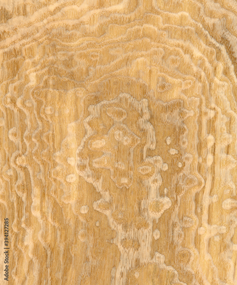 Macro photo of wood cross section Wood grain texture background Stock ...
