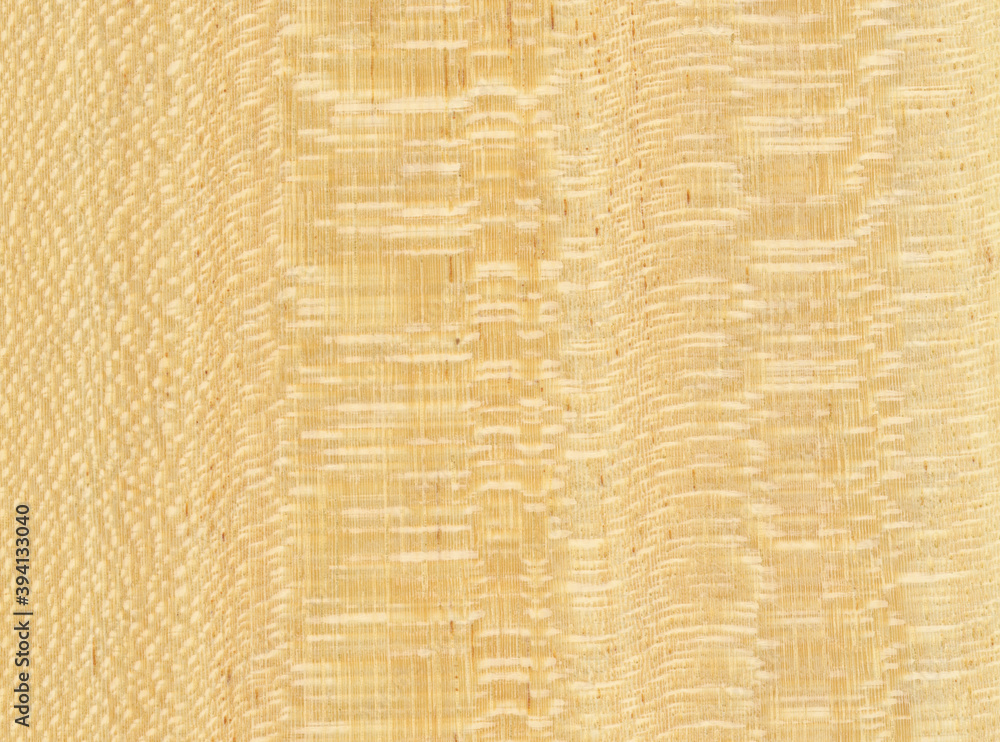 Macro photo of wood cross section Wood grain texture background Stock ...