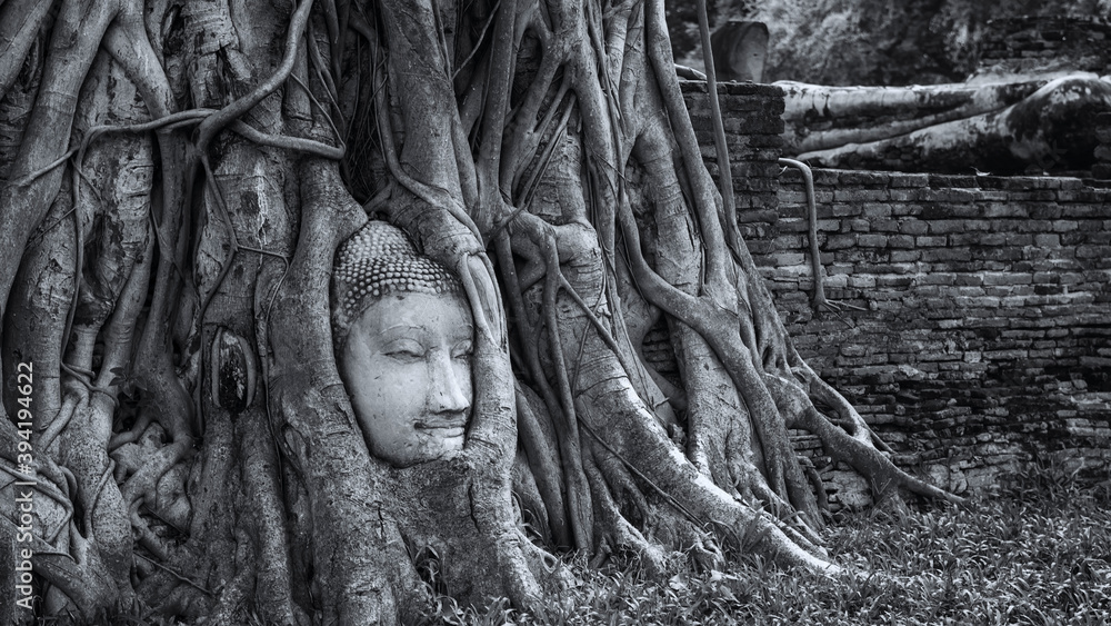 buddha head in Bodhi tree root, Ayutthaya Stock Photo | Adobe Stock
