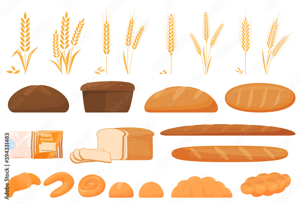Set of cartoon food: ciabatta, whole grain bread, bagel, french ...