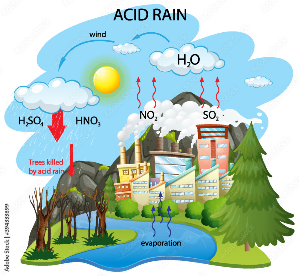 Diagram showing acid rain pathway on white background Stock Vector ...