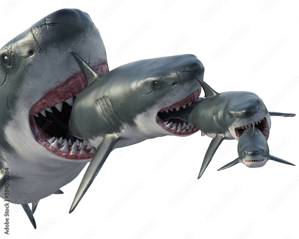 Hai, Megalodon, frisst Hai, fressen, Haifisch, Gruppe, 3d Stock ...