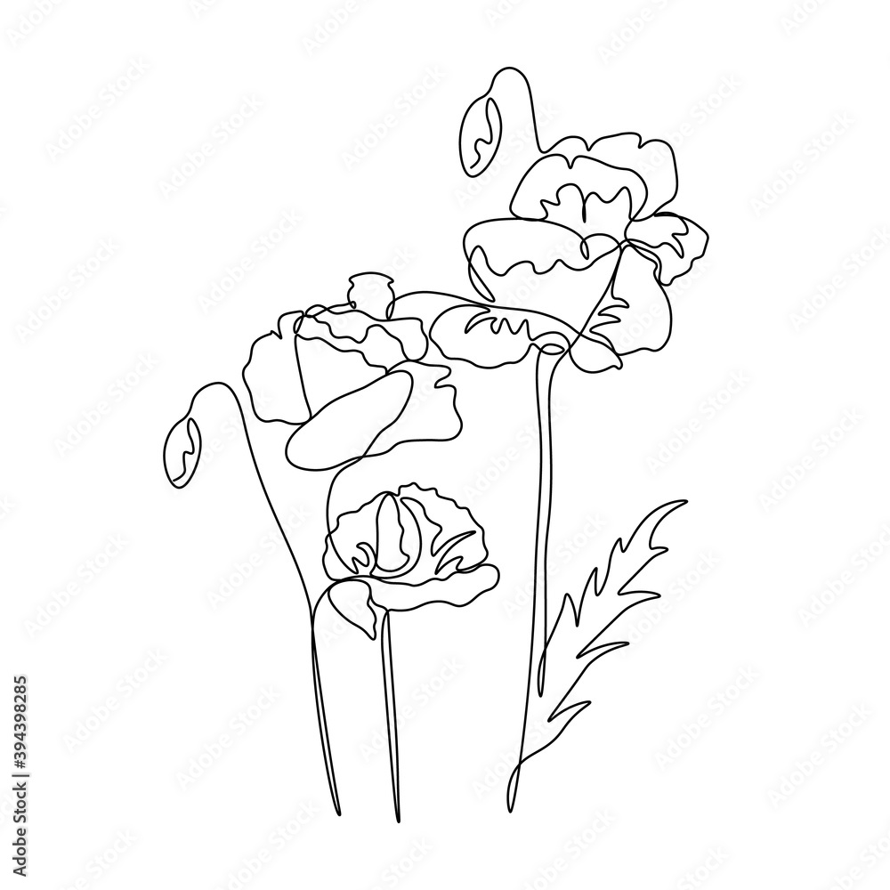 poppy one line drawing. Continuous line flower. Hand-drawn illustration ...